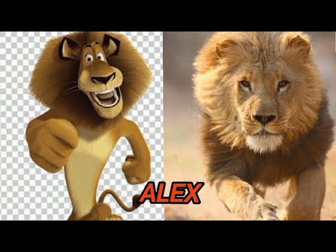 Madagascar character in real life - YouTube