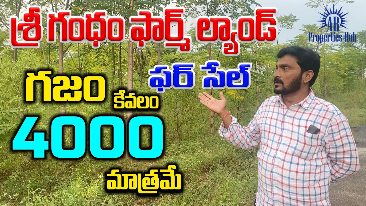 Sri Gandham Farming | Sandalwood Farm land for sale in Kodada ...