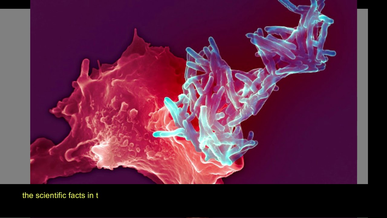 The Use of Bacillus Calmette-Guerin (BCG), Mycobacterium Indicus Pranii ...