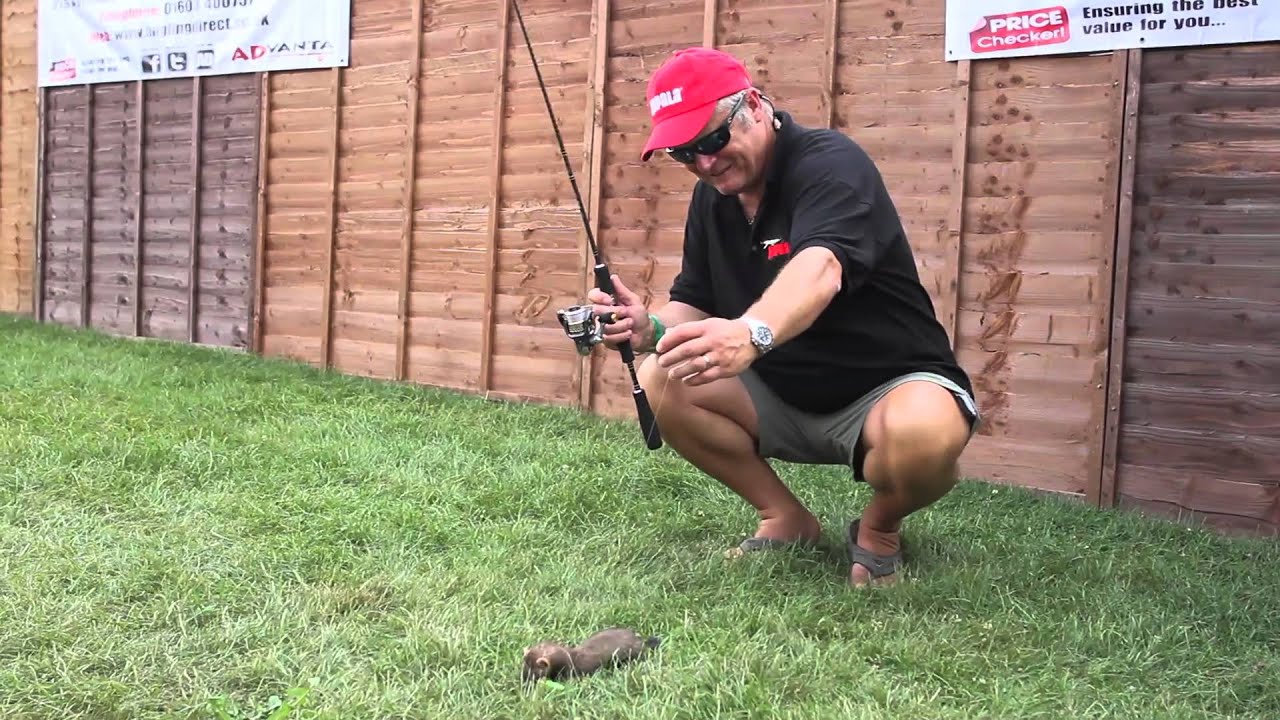 Crazy Ferret Chasing Lure - YouTube