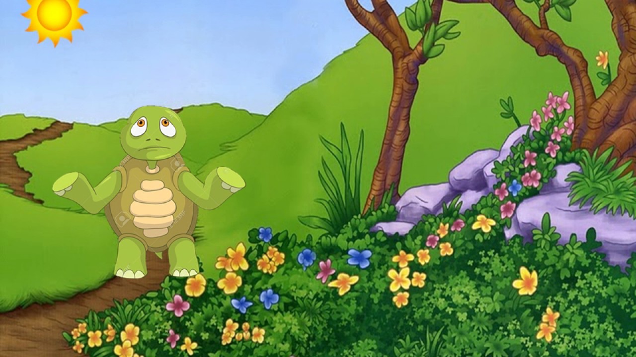 uga la tortuga Recovered - YouTube