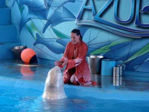 Sea World Azul Show San Antonio March 2010 - YouTube