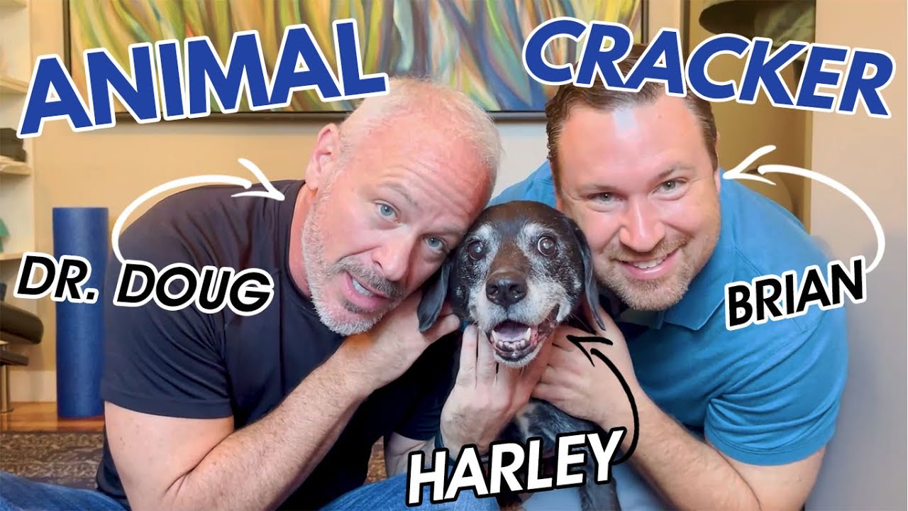 OLD DOG ~ HUNCHED BACK & CAMPED UNDER: CHIRO ADJUSTMENT SUCCESS! (Part ...