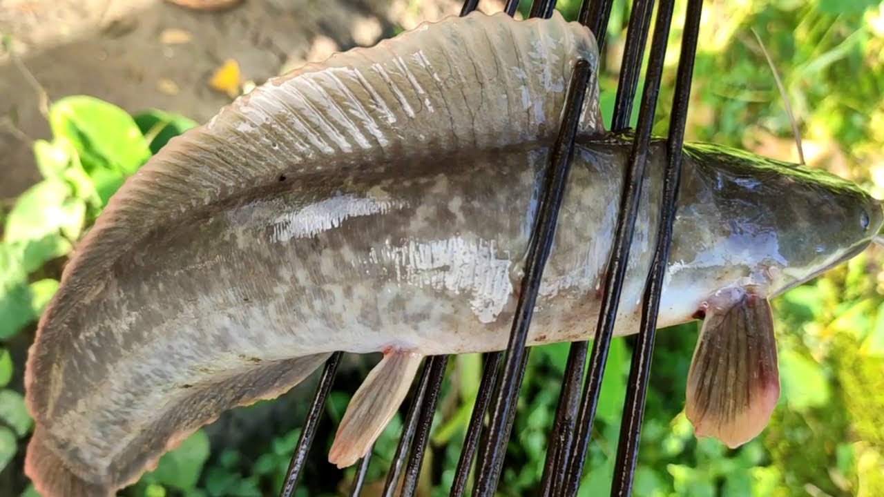 BIG BAIT Fishing From CLOSED RESERVOIR - YouTube