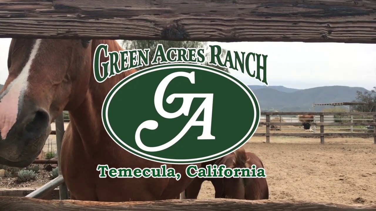 Green Acres Ranch in Temecula, CA offers a variety of KIDS HORSE CAMPS ...