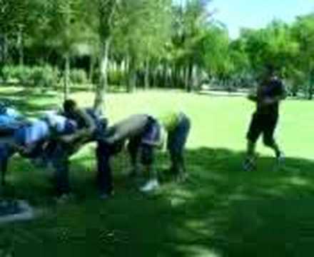 lapte gros in parcu verde - YouTube