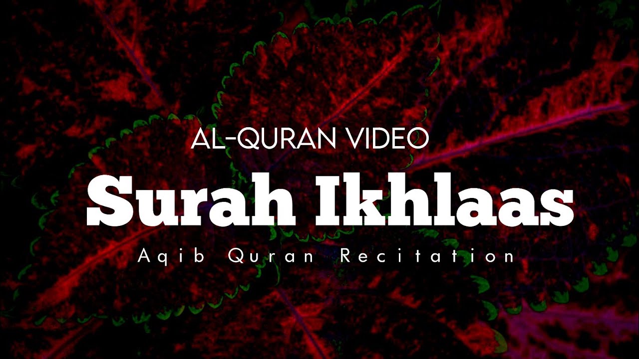 Surah Ikhlaas Best Quran Post quranrecitation quran quranenglishtranslation