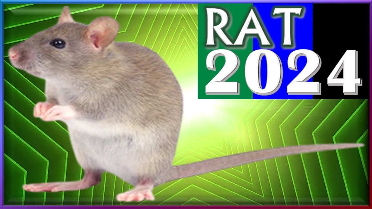 Rat Horoscope 2024 | Born 2020, 2008, 1996, 1984, 1972, 1960, 1948 ...