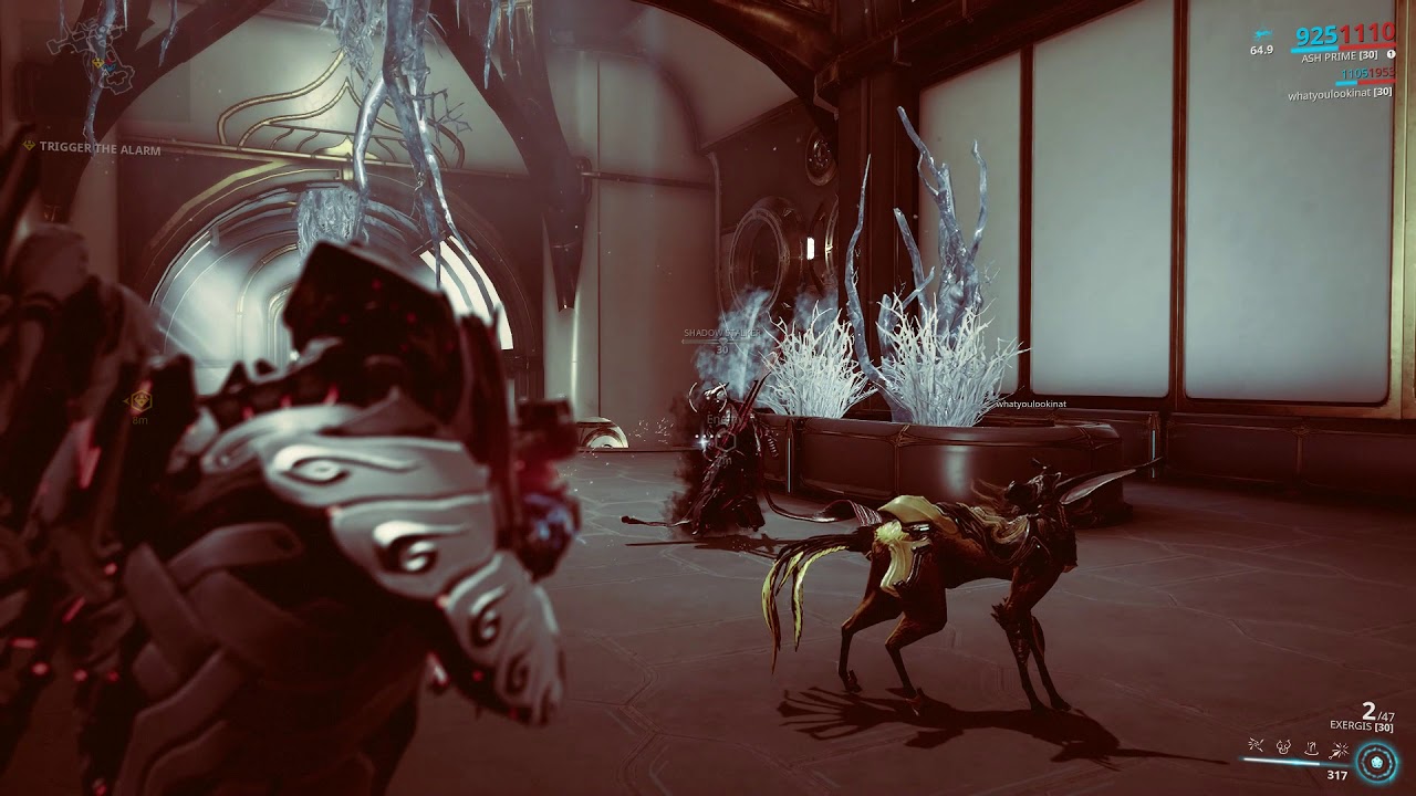 Warframe - stalker smoking body ephemera drop - YouTube