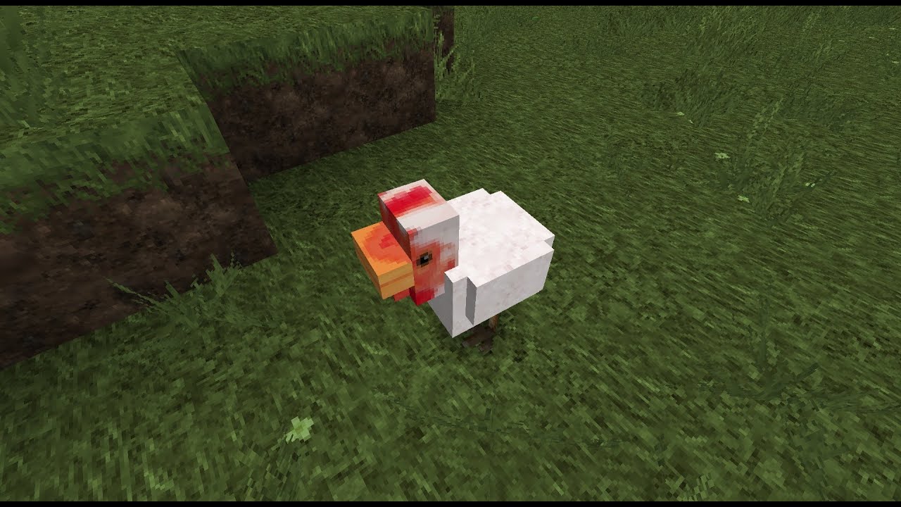 Minecraft Lets Play Episode 39: Cluck Cluck - YouTube