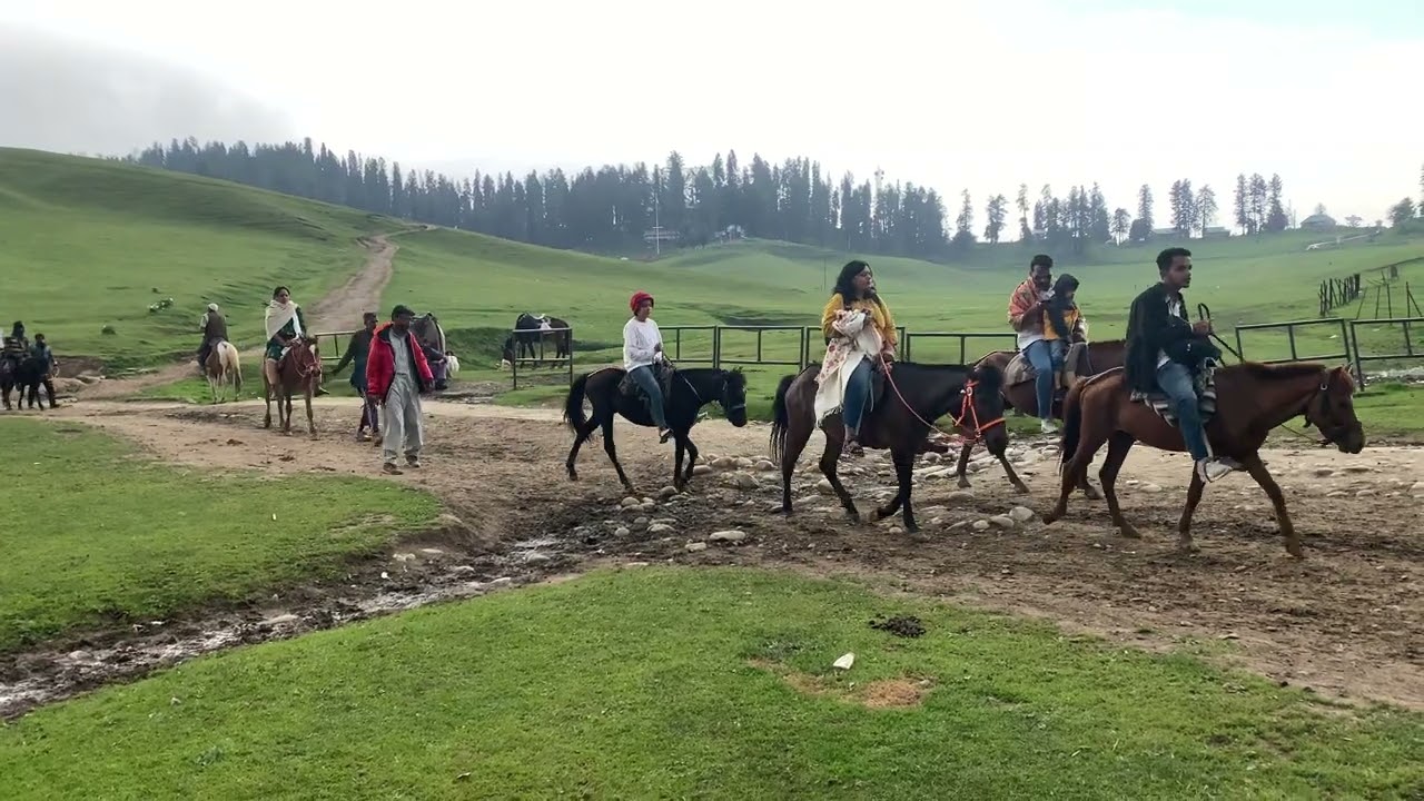 Horse Riding in Gulmarg, Kashmir - YouTube