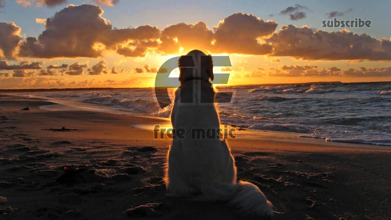 |Chillout Music 25| Charles Murdoch - Shaper - YouTube