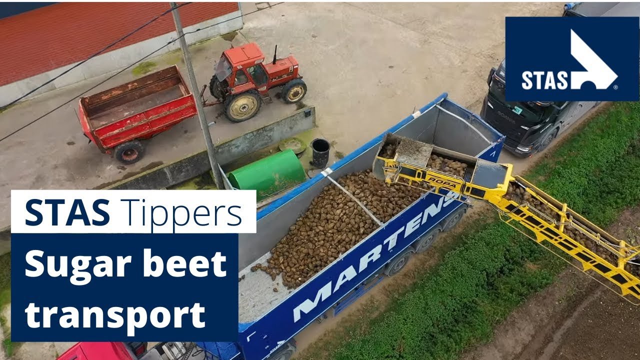 Sugar beet transport with STAS tippers - YouTube