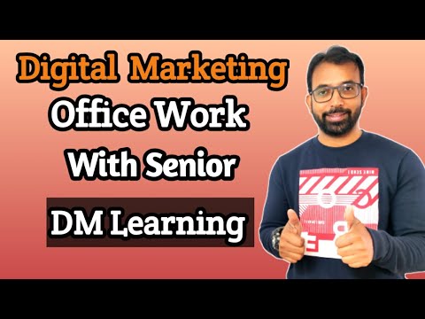 How to Work In Digital Marketing Office with Senior Staff | DM Learning ...