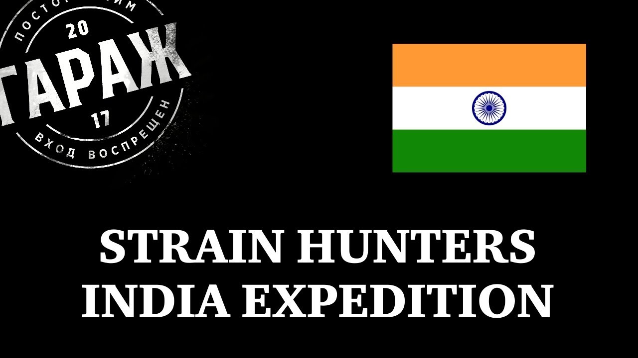 Strain Hunters India Expedition русский перевод и озвучка Гараж - YouTube