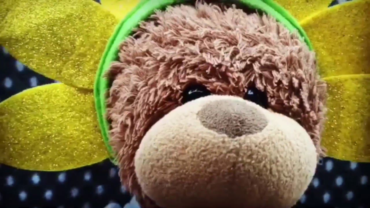 George The Bear - YouTube