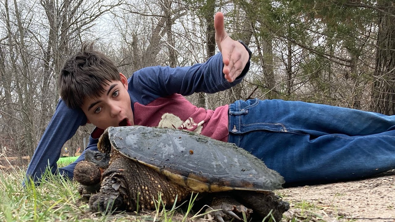 Snapping Turtles Catch - YouTube