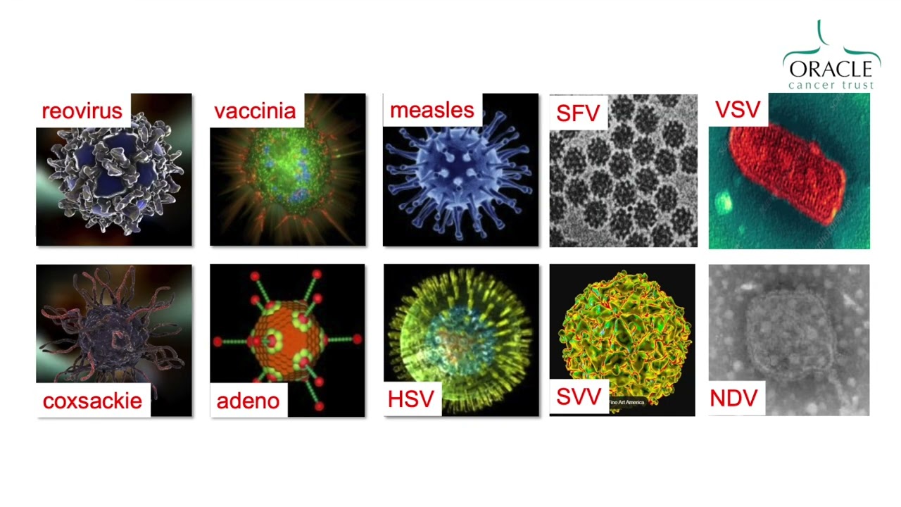 Professor Kevin Harrington Presentation Oracle Research Impact Evening ...