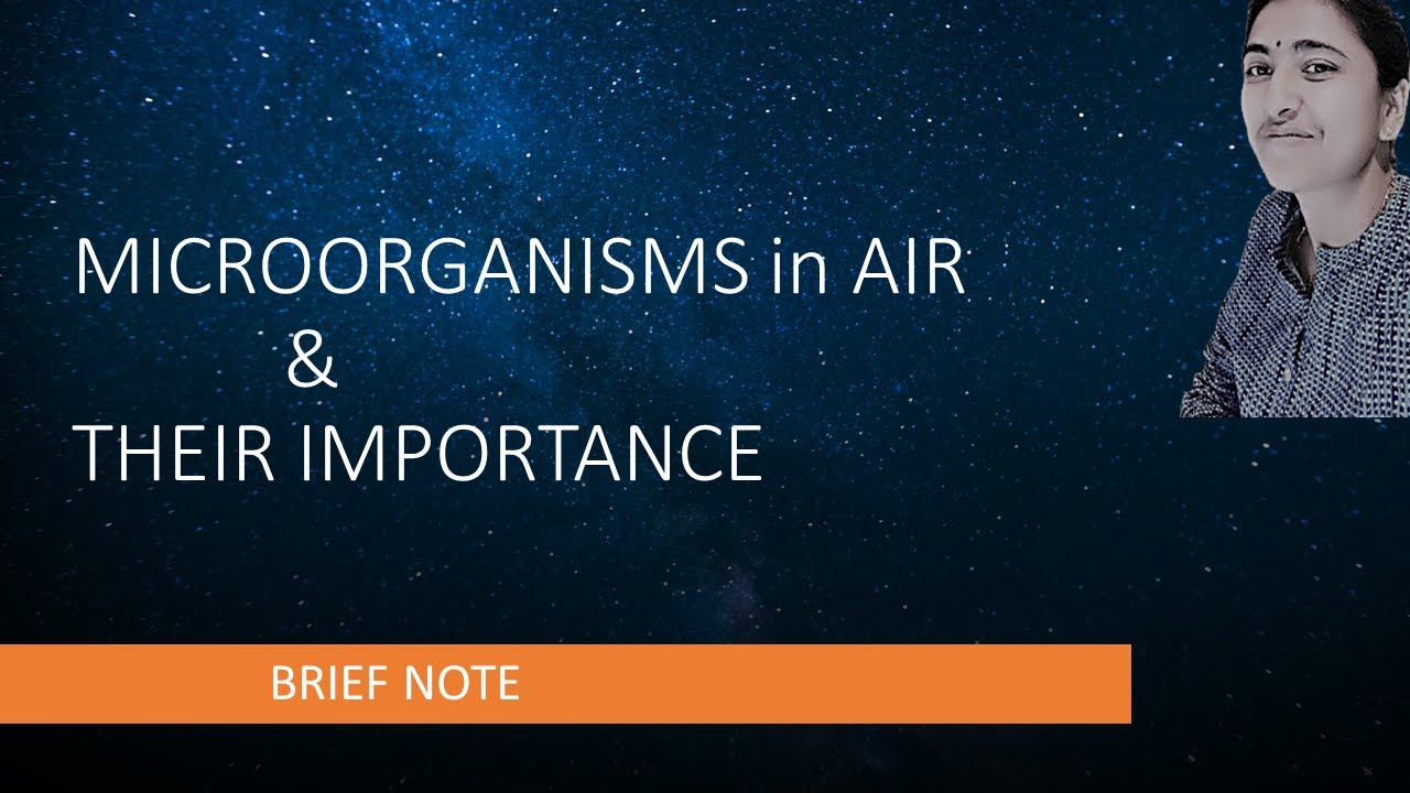 MICROORGANISMS IN AIR & THEIR IMPORTANCE (brief note) -ENVIRONMENTAL ...