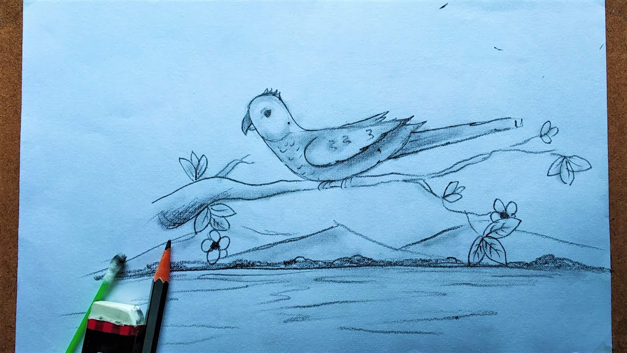 Birds on the tree drawing| Draw By Banti | Parrot sitting on a tree ...
