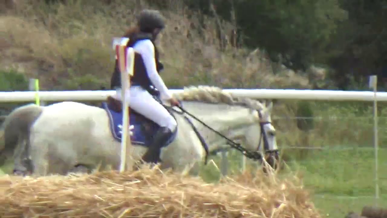 Derby cross - Derb eventing club élite - Ecuries des mielles - 26/07/20 ...