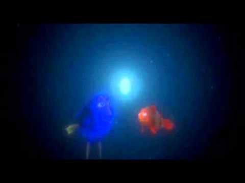 Finding Nemo Intro Bio Project 2014 - YouTube
