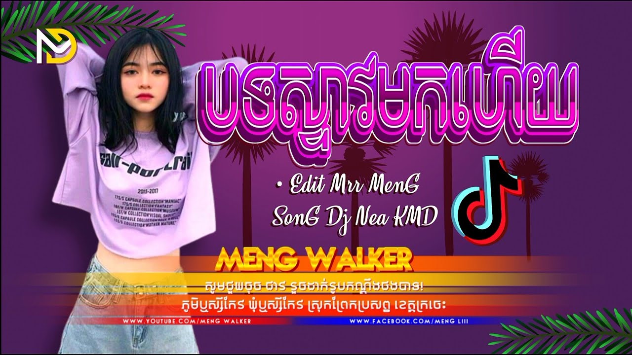 បទល្បីក្នុង Tik Tok 🤯🎄 (បទស្ទាវមកហើយ) Remix 2Q23 🎼🔥 New Song by Dj Nea ...