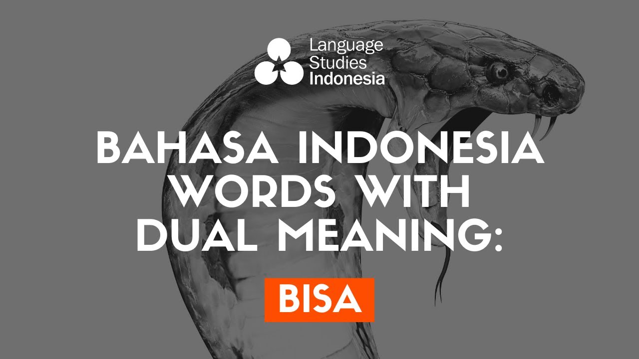 Learn Indonesian Words with Dual Meaning - "Bisa" - YouTube