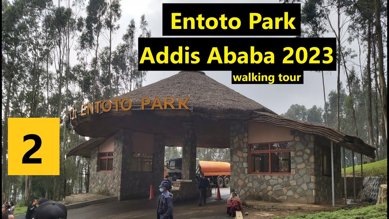 Entoto Park 2023 part 2, Addis Ababa walking tour 2023 - YouTube