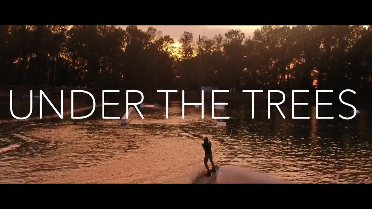 UNDER THE TREES - YouTube
