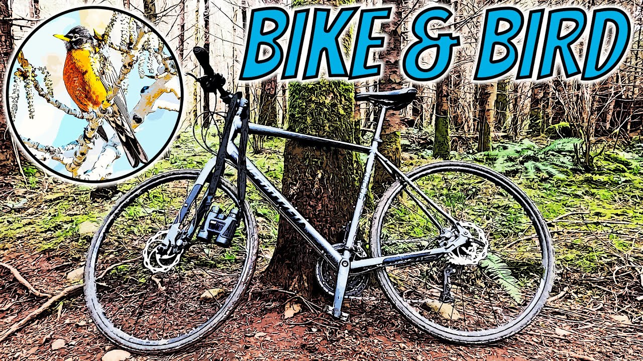 Why Not Bird By Bike? Vancouver Island Birding on Wheels - YouTube