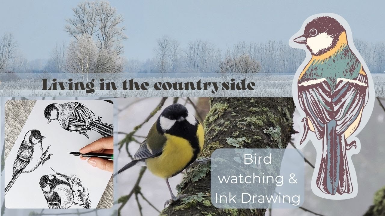 How I spend my time in the countryside | Bird watching | The process of ...