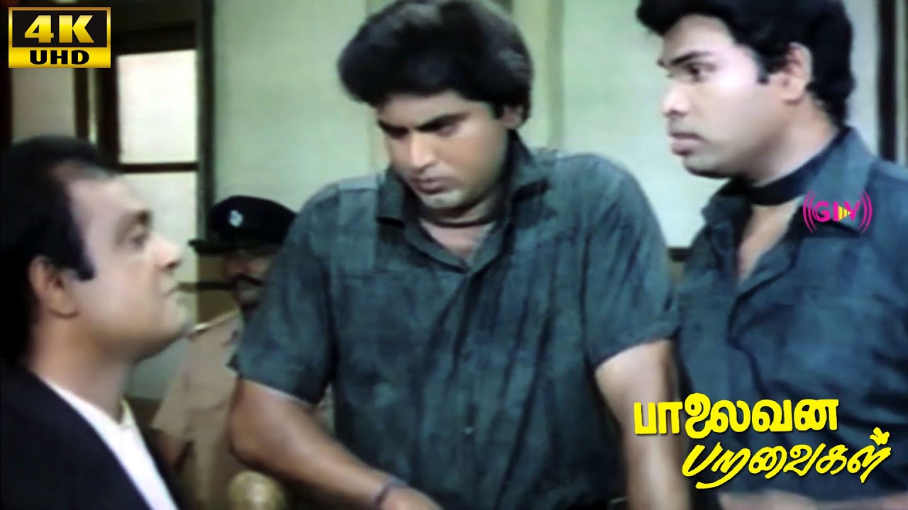 Palaivana Parvaigal Movie Scenes - 1| Sarathkumar | Anandaraj | Udhayan ...