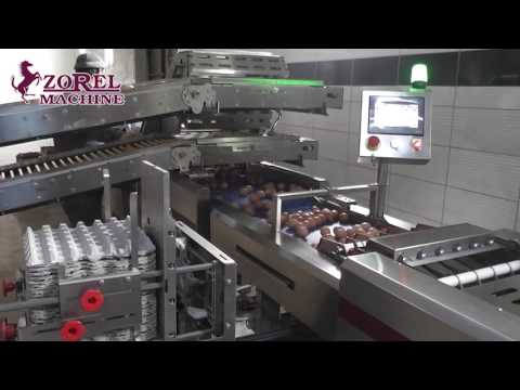 Zorel ZRM36 - Egg Grading Machine(Yumurta tasnif makinesi)