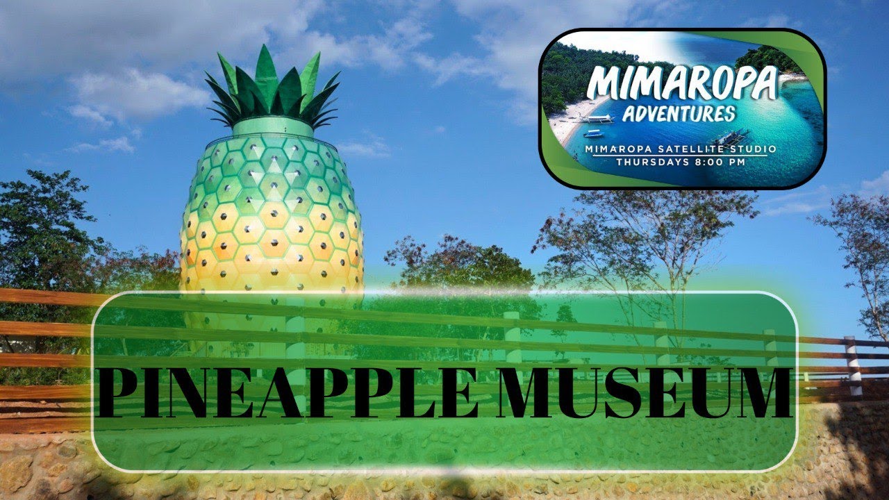 Pineapple Museum | MIMAROPA Adventures | August 14, 2025 - YouTube