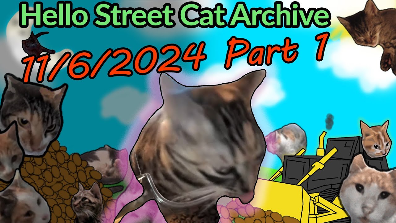 Cute Calico BLEP at Mr. Fall's Feeder! Adorable Hello Street Cats of ...