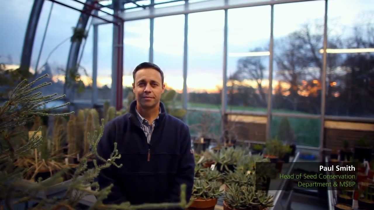Beyond the Gardens: The Millennium Seed Bank Partnership (Music by ...