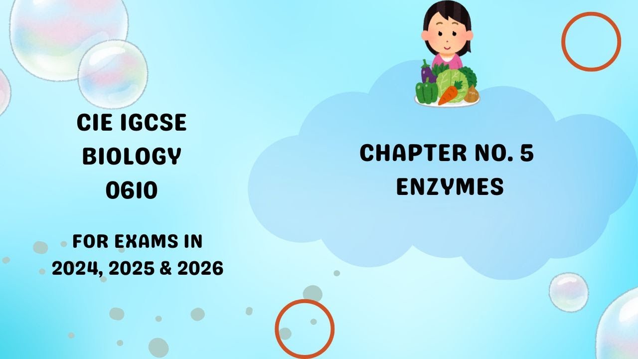 Chapter 5. Enzymes IGCSE Paper Biology 0610 - YouTube