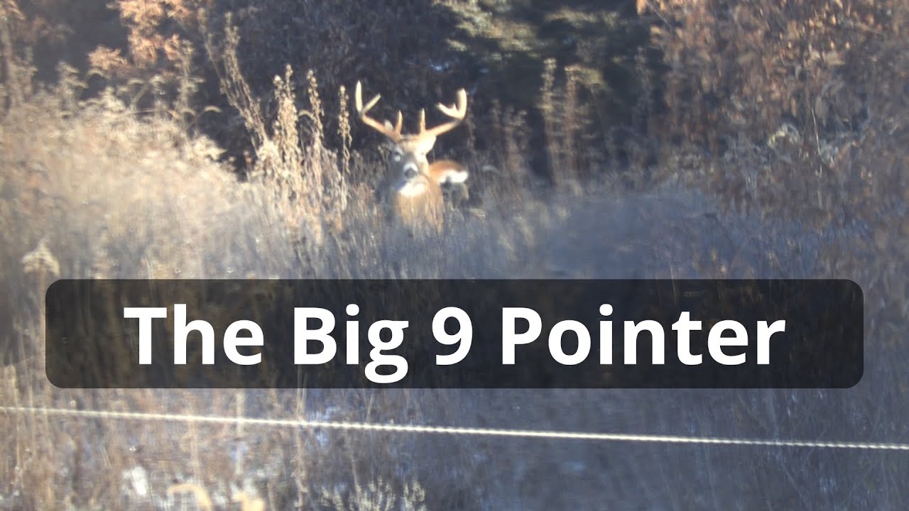 The Big 9 Pointer Encounter - YouTube