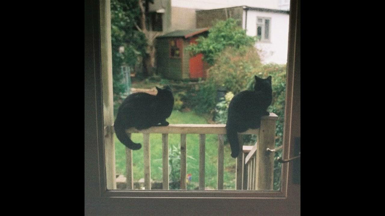 TÌNH CỜ (feat. CHARLES., Brown, KIM LONG & Duy Sơn) - YouTube