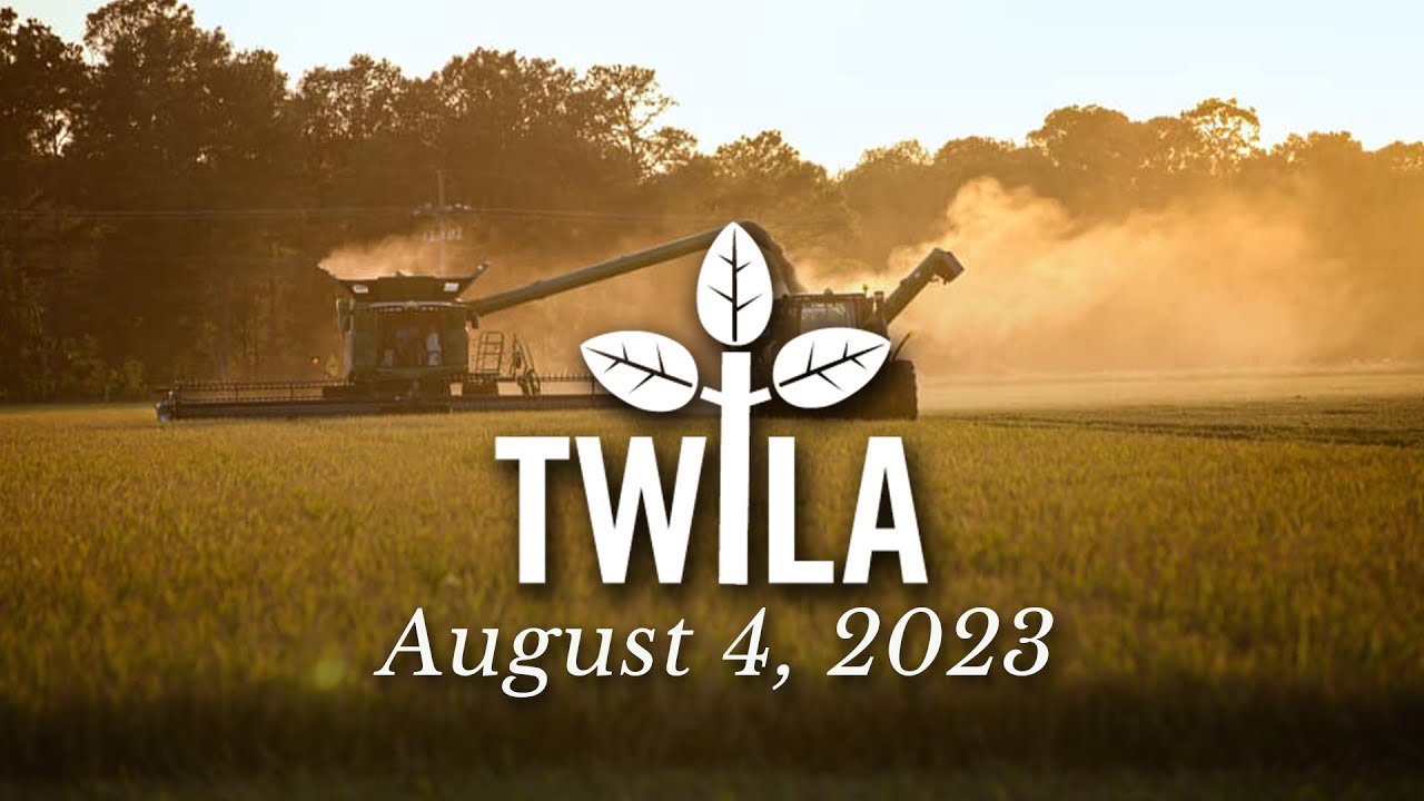 TWILA -- August 4, 2023 - YouTube