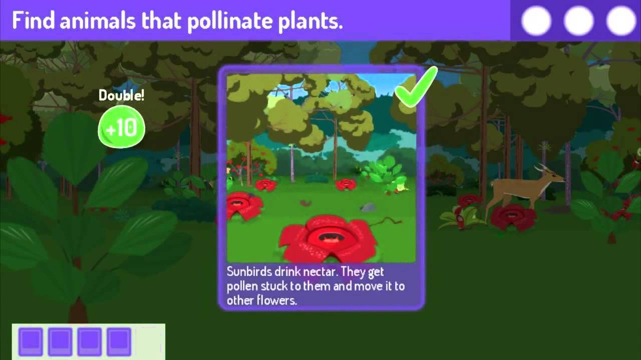 Pbs Kid Games - Jungle Rangers - Jungle Rangers Games - YouTube