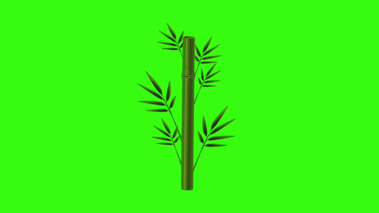 Bamboo Green Screen 1080p in HD Video Effects Background - YouTube