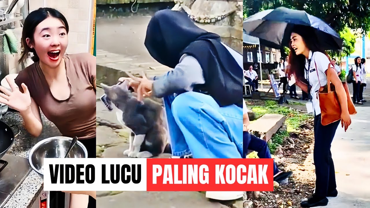 Kumpulan Momen Kocak & Konyol Bikin Ngakak Sampai Sakit Perut #funnyvideo - YouTube