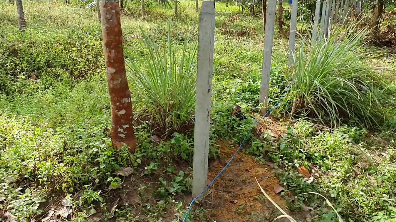 Tanam Tiang Pagar Rumah - YouTube