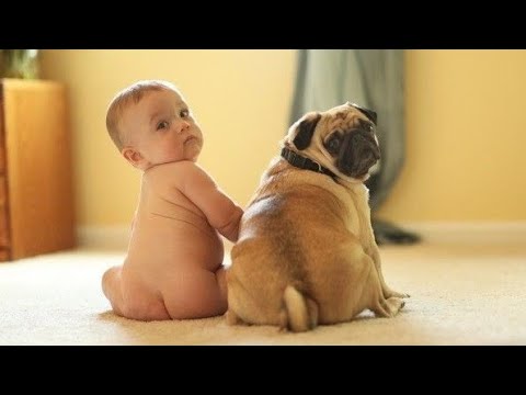 [1 HOUR] TRY NOT TO LAUGH - Funny KIDS FAILS & BABY Videos | BEST OF THE YEAR |