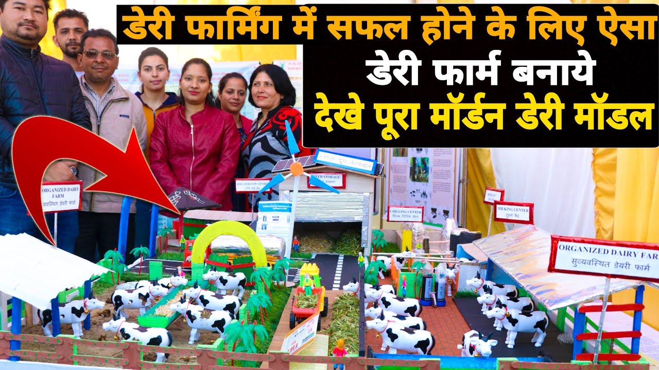 ऐसा डेरी फार्म बनाये | To become successful in dairy farming, see such ...