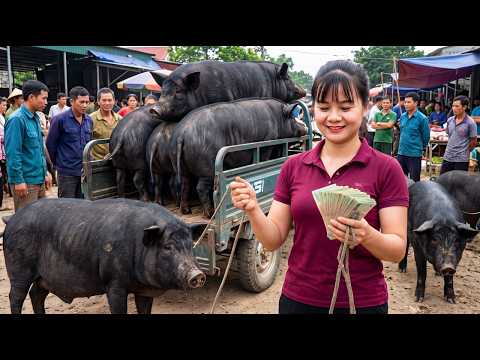 Selling Giant Black Pigs After 4 Months of Raising | Truck Overflowing To Village Market