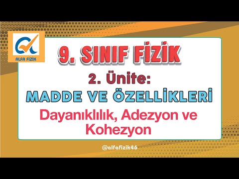 9. Sınıf - Dayanıklılık, Adezyon ve Kohezyon