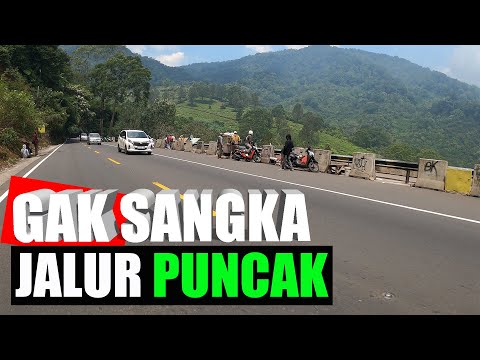 MUNCUL LAGI Bibit Bangli Jalur Puncak Bogor Jawa Barat #motovlog 